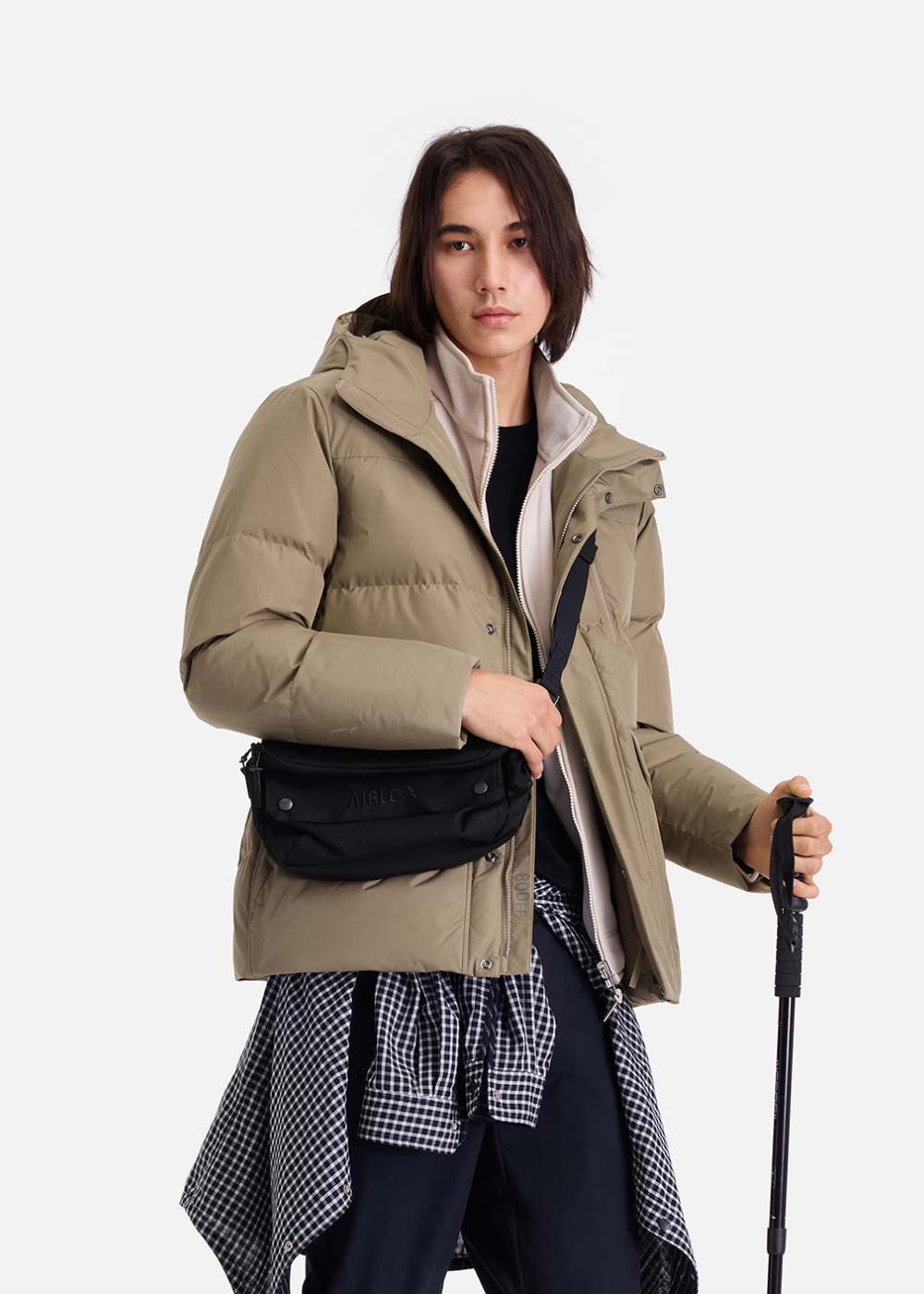 Aigle